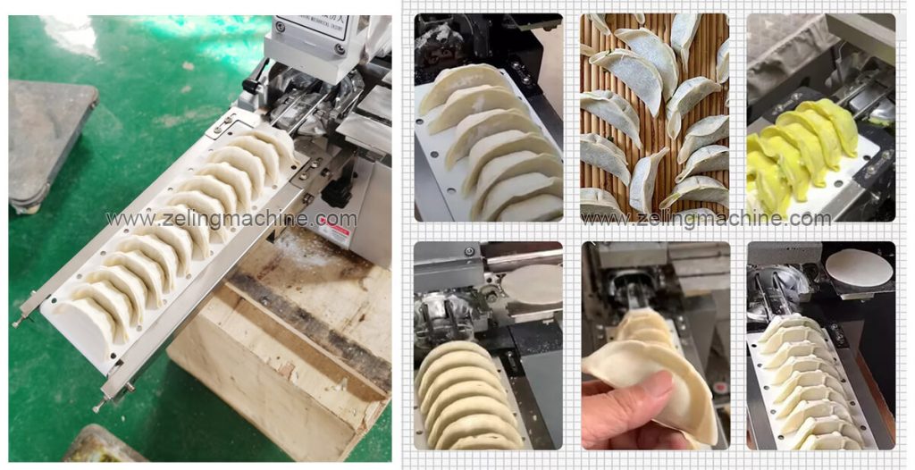 Big Dumpling/Gyoza Making Machine – Shijiazhuang Zeling Technology Co., Ltd