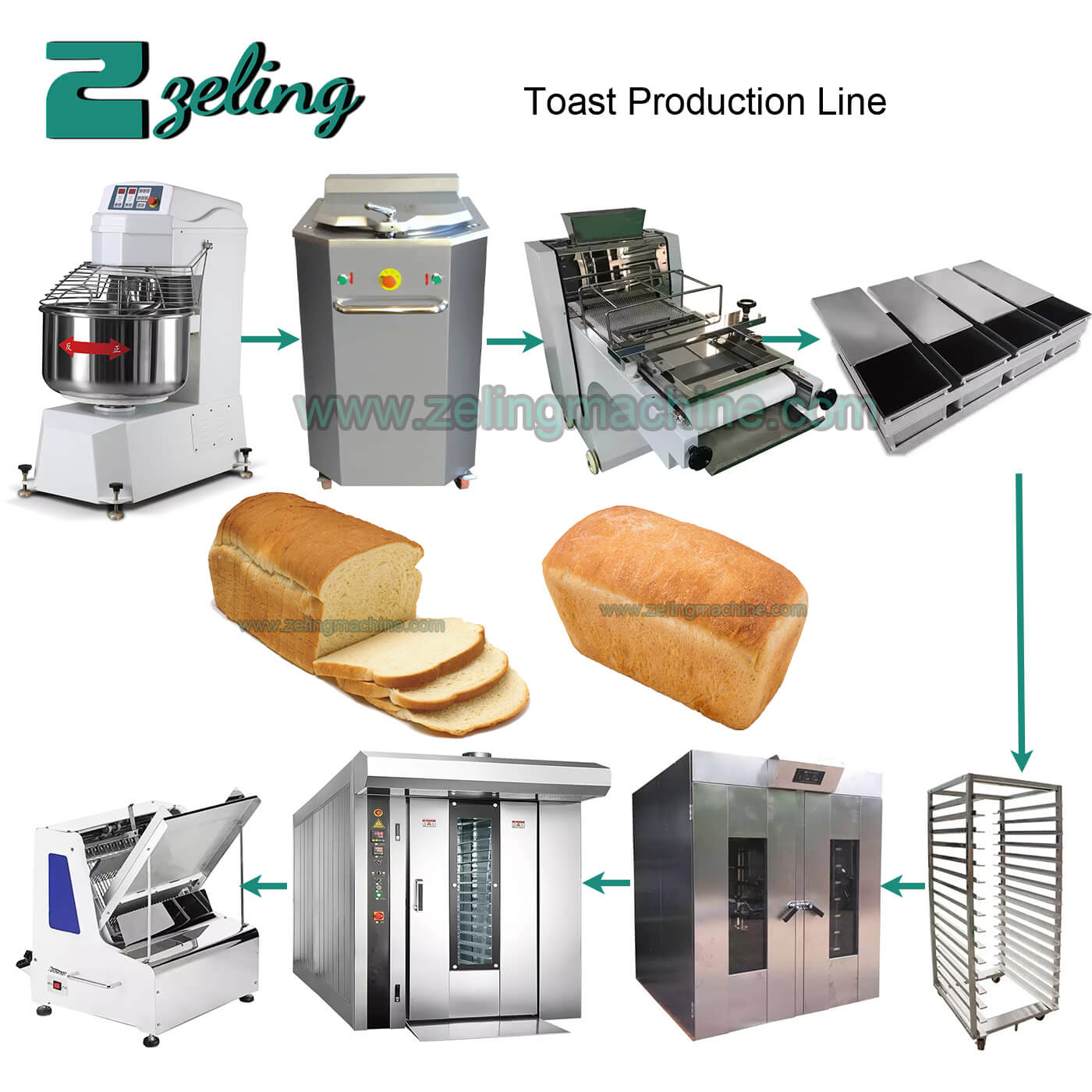 Toast Production Line – Shijiazhuang Zeling Technology Co., Ltd
